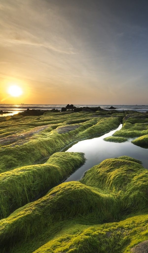 Free Masonry Gallery 1 – Robosoft WordPress Demo Section