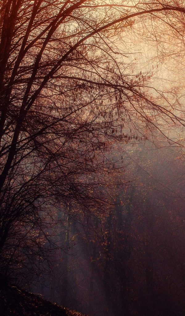 Free Masonry Gallery 1 – Robosoft WordPress Demo Section