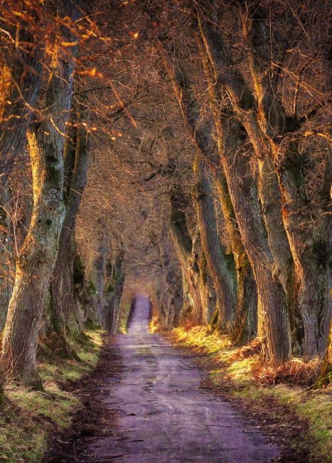 Free Masonry Gallery 1 – Robosoft WordPress Demo Section