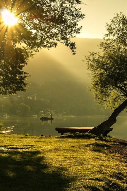 Free Masonry Gallery 1 – Robosoft WordPress Demo Section